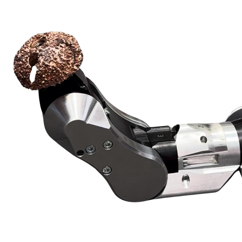 Catalogs and Brochures